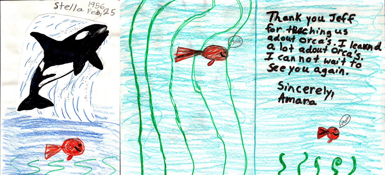 Resources | Killer Whale Tales